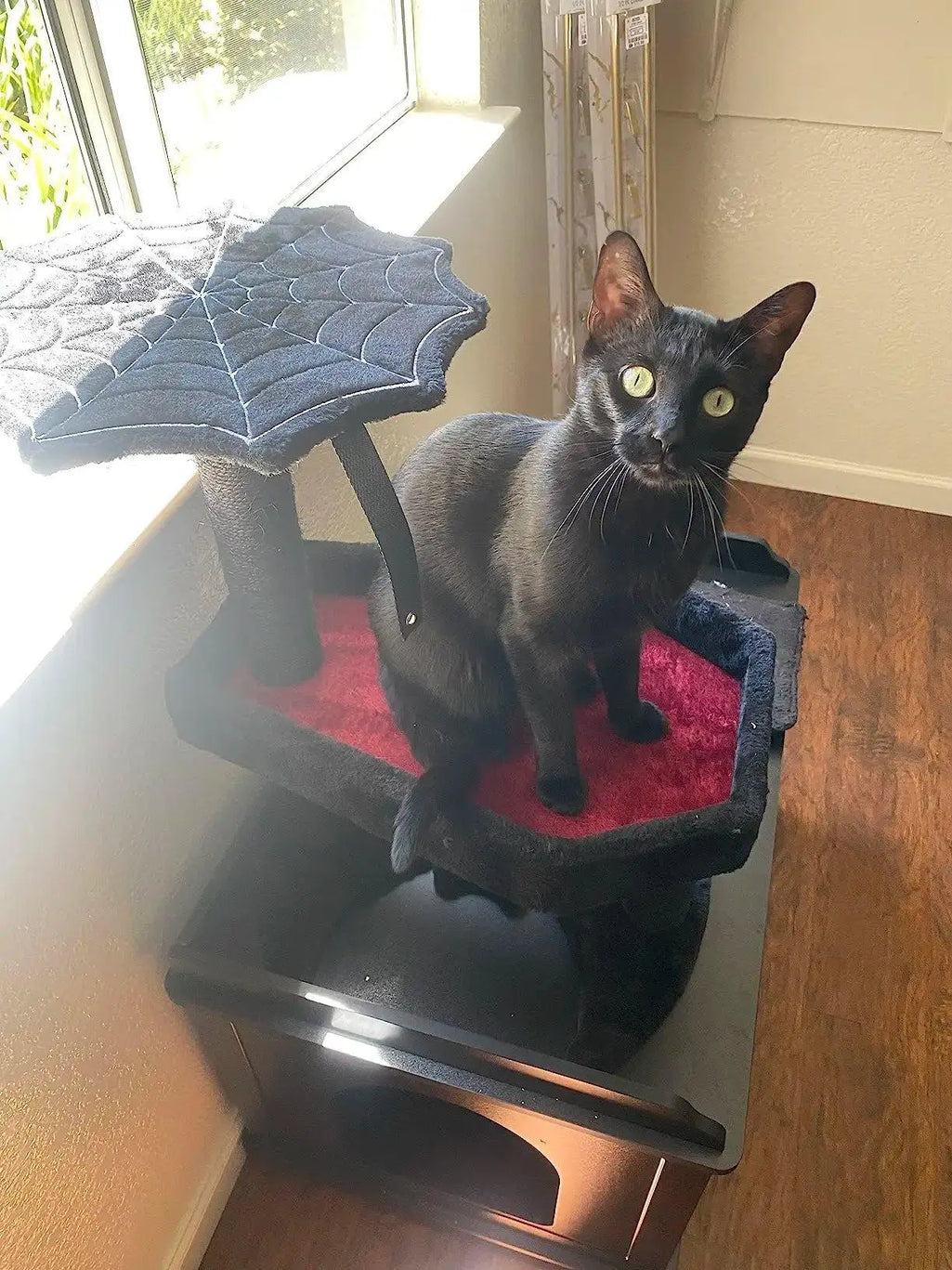 Gothic Cat Tree with Coffin Bed